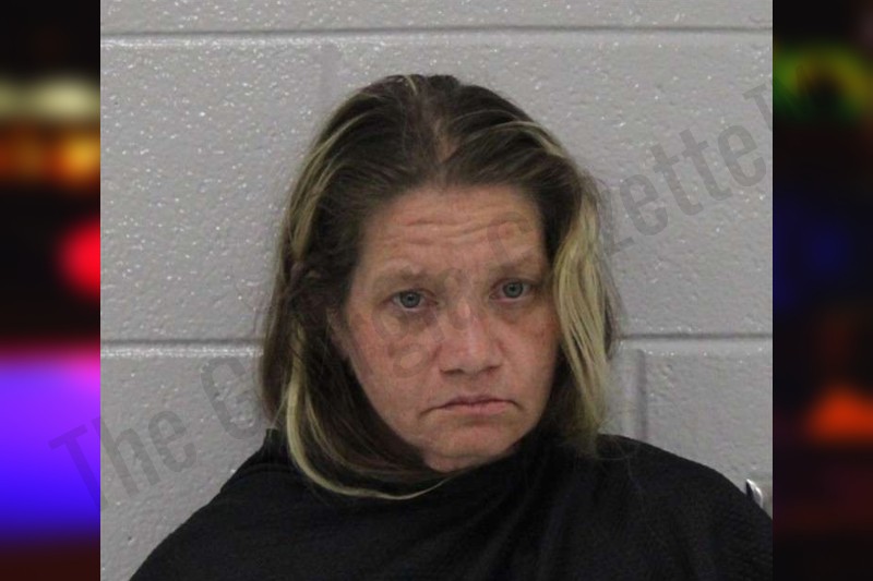 Vicki Donoho — Carroll County Jail Bookings