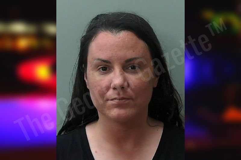 Jessica Doan — Towns County Jail Bookings