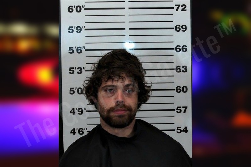 Tylor Drake — Hart County Jail Bookings