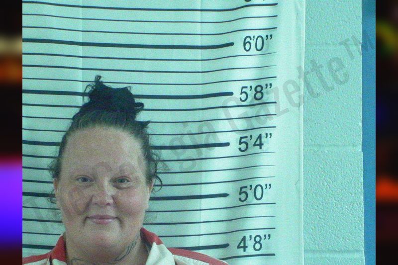 Joni Earwood — Stephens County Jail Bookings