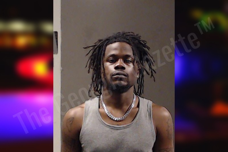 Michael Elder — DeKalb County Jail Bookings