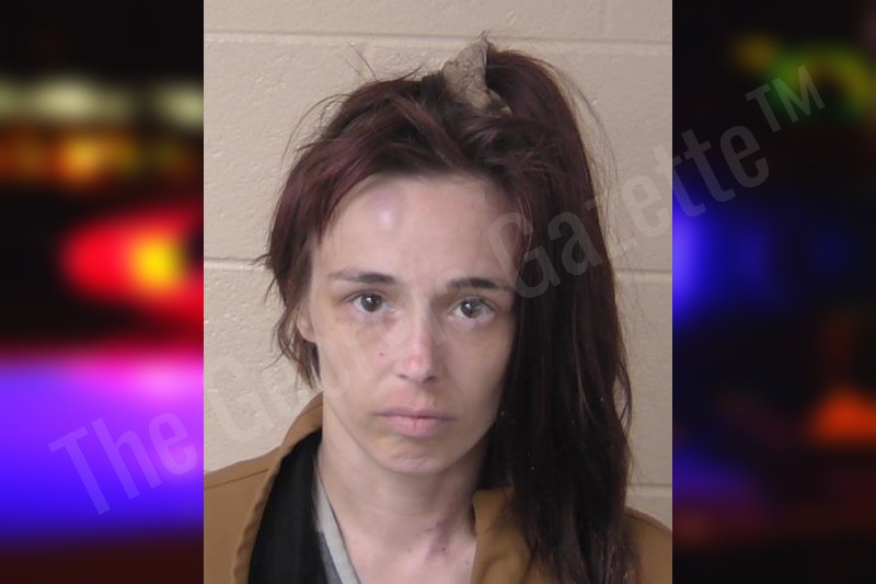 Amber Ellis — Walker County Jail Bookings