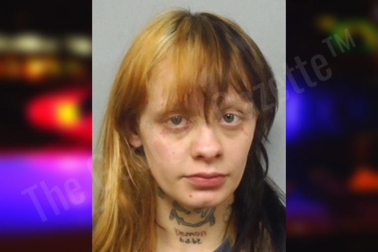 Kourtney Flake — Burke County Jail Bookings