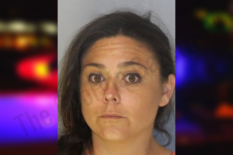 Lydia Fuller — Hall County Jail Bookings