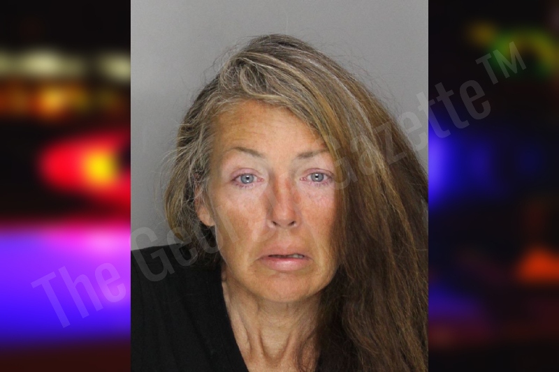 Leiah Gibson — Cobb County Jail Bookings