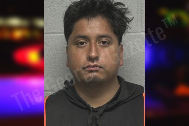 Ismael Garcia Del Villar — Forsyth County Jail Bookings