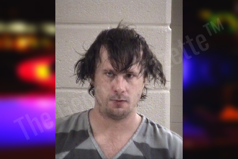 Tyler Garner — Whitfield County Jail Bookings