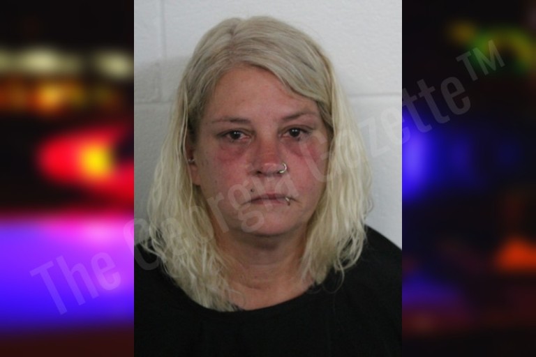 Kristy George — Floyd County Jail Bookings