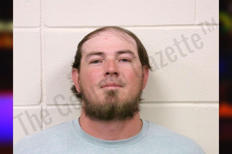 Tim Gibson — Bulloch County Jail Bookings