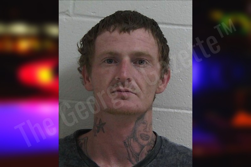 Brandon Hames — Decatur County Jail Bookings