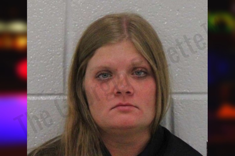 Lindsay Hannah — Carroll County Jail Bookings