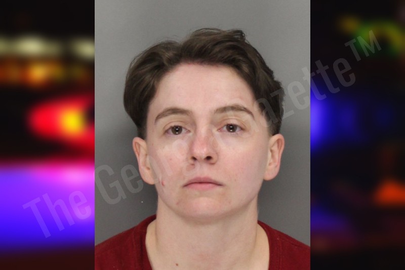 Carly Harrison — Cobb County Jail Bookings