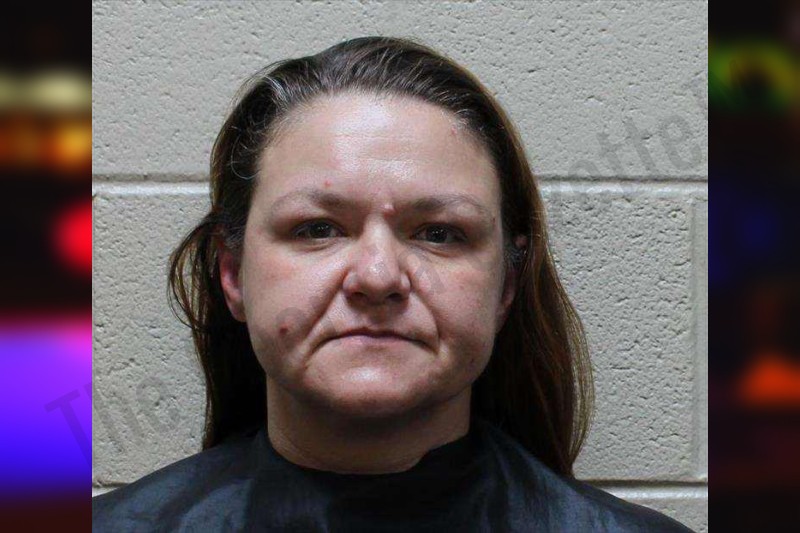 Heather Heard — Haralson County Jail Bookings
