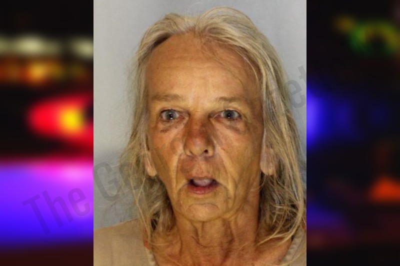 Denise Hulsey — Hall County Jail Bookings