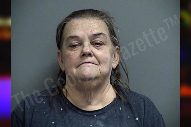Connie Hamaker — Effingham County Jail Bookings