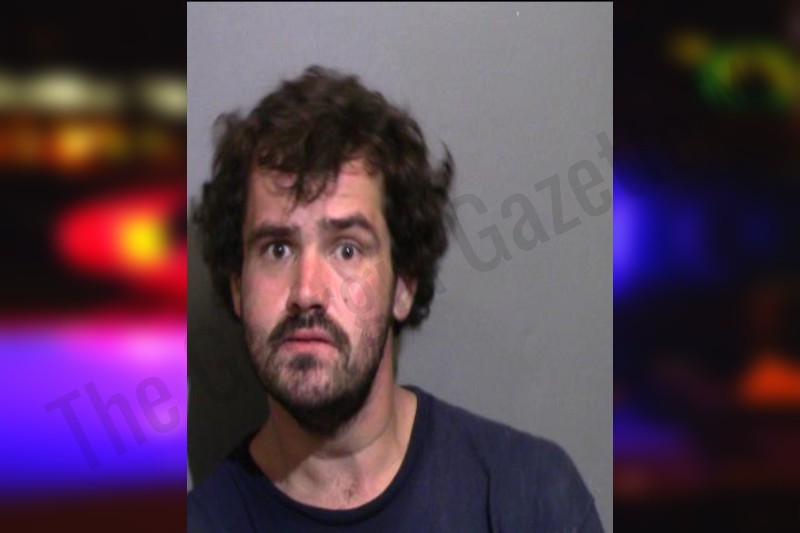 Sean Hand — Glynn County Jail Bookings