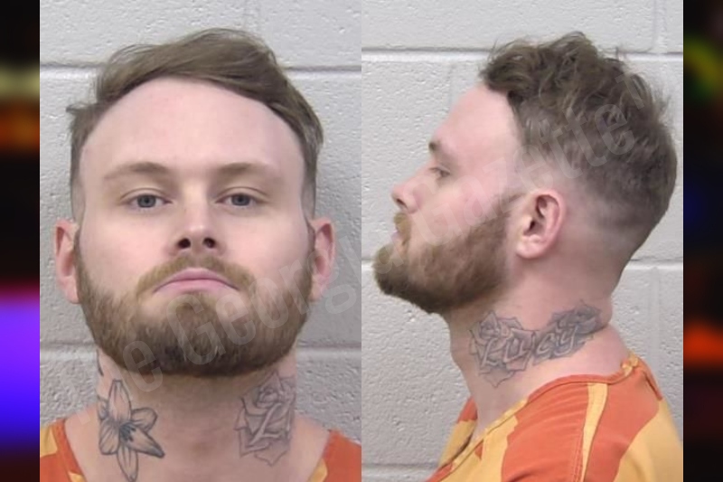 Christopher Harkins — Paulding County Jail Bookings