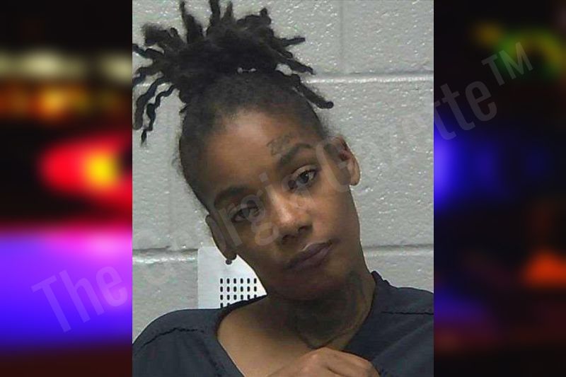Jameka Harper — Gilmer County Jail Bookings