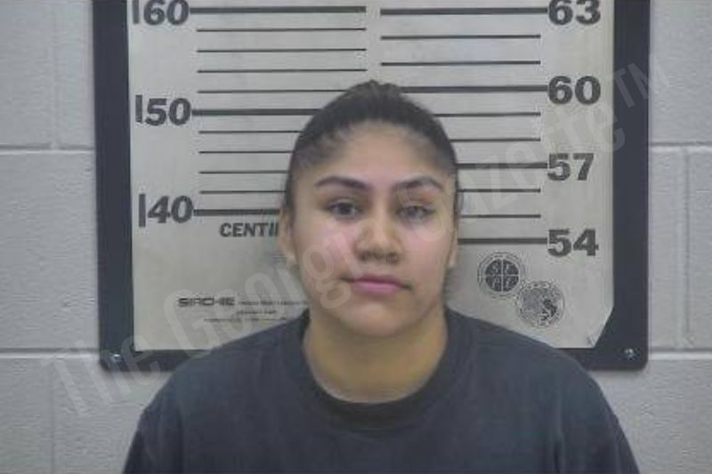 Damaris Hernandez — Coffee County Jail Bookings