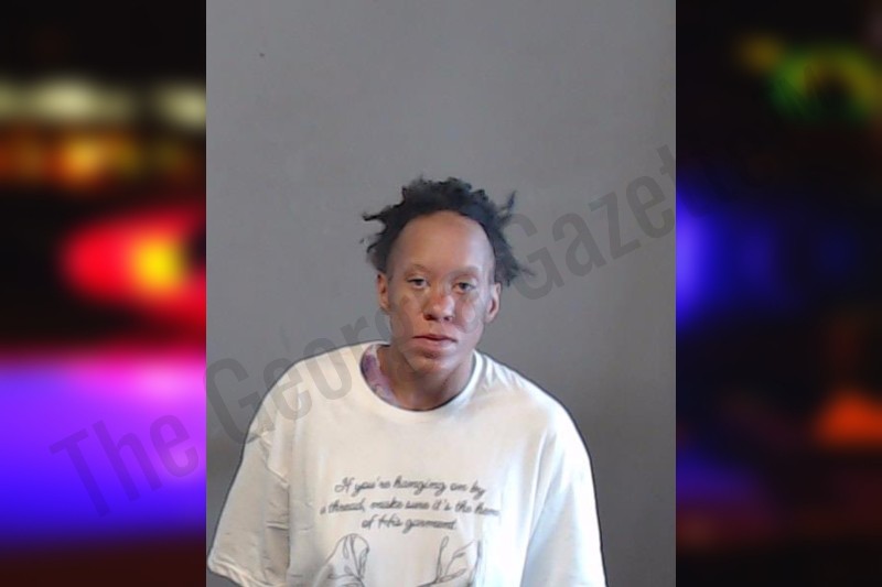 Ashley Hightower — DeKalb County Jail Bookings