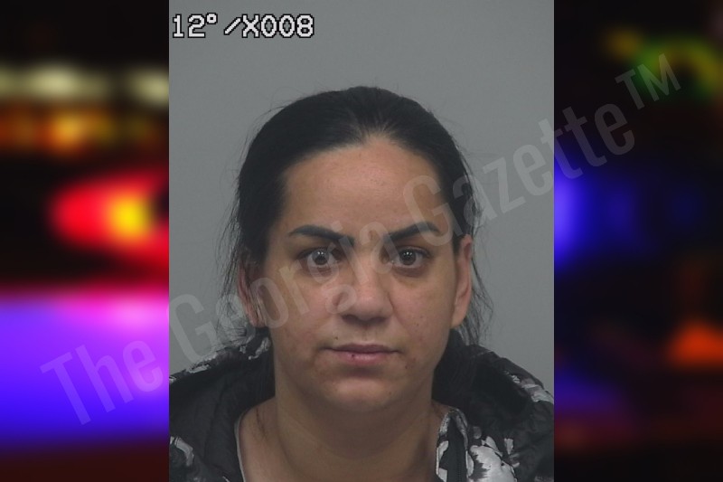 Doina Iancu — Gwinnett County Jail Bookings