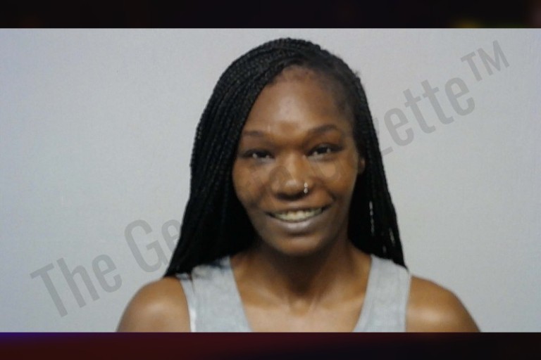 Erica Ingram — Bibb County Jail Bookings
