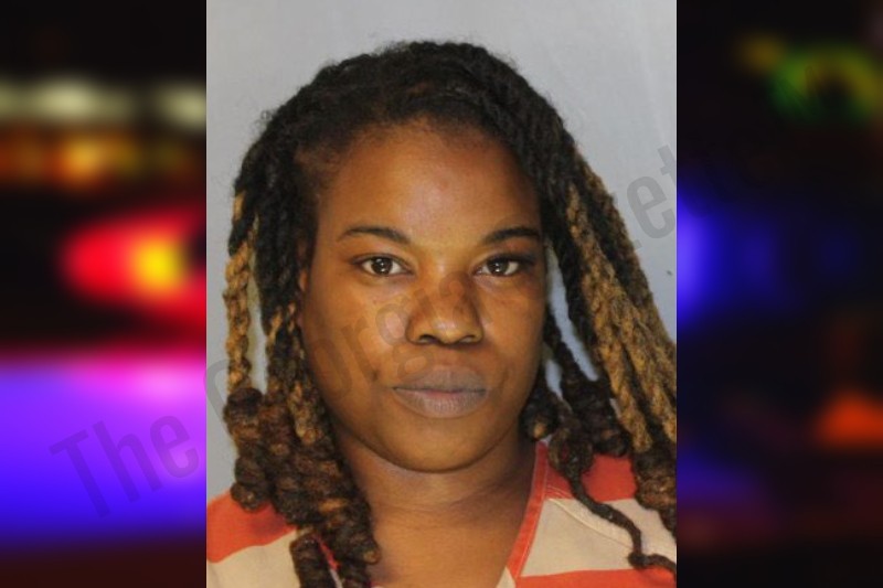 Shaneekwa Jenkins — Hall County Jail Bookings