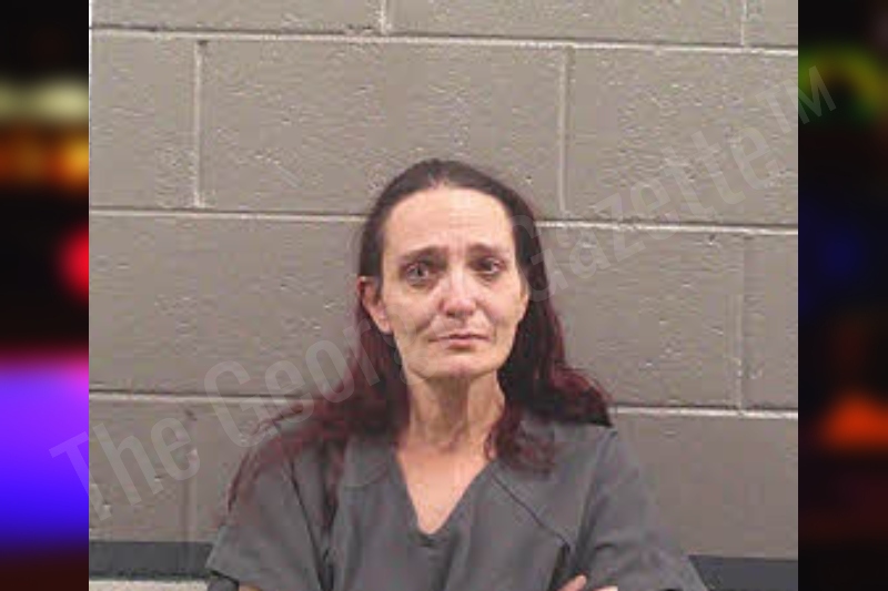 Jennifer Lee — Banks County Jail Bookings