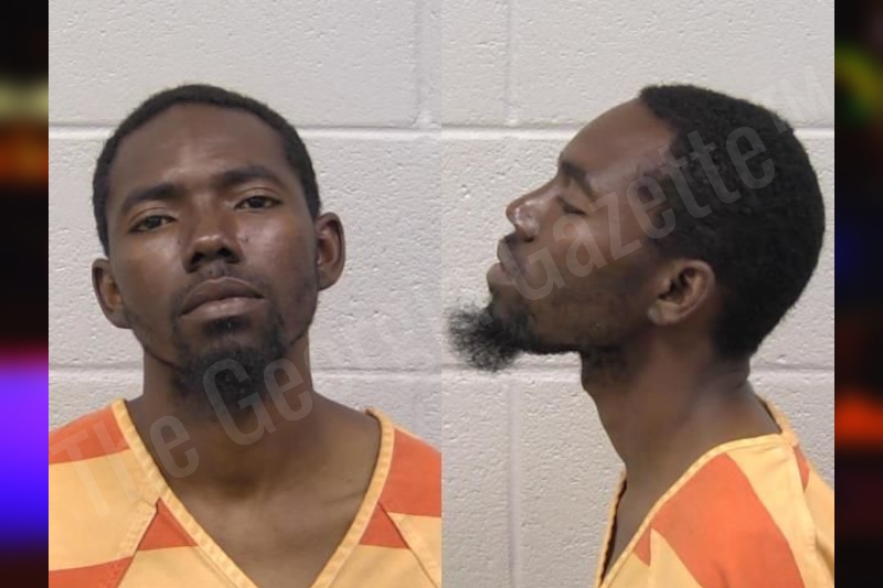 Edward Jamison — Paulding County Jail Bookings