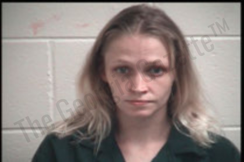 Ashley Johnson — Henry County Jail Bookings
