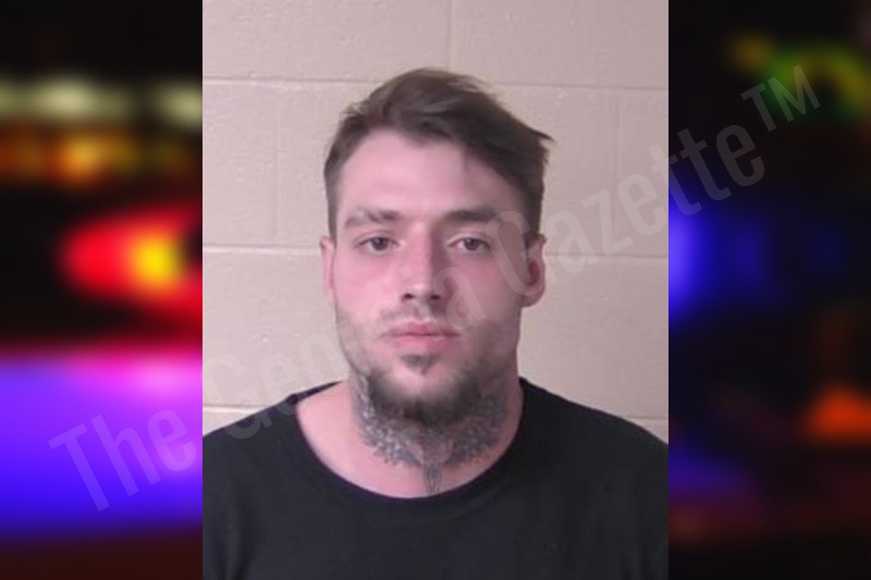 Matthew Johnson — Walker County Jail Bookings