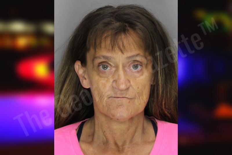 Tonya Kitchens — Cobb County Jail Bookings