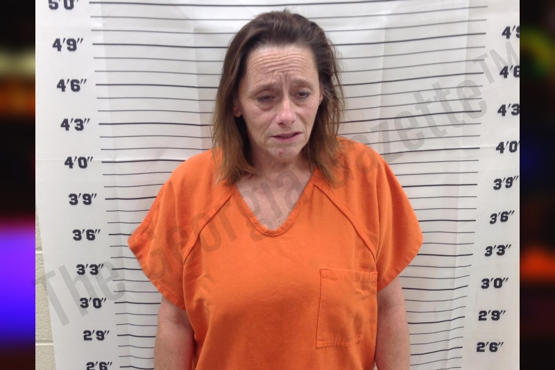 Robin King — Pickens County Jail Bookings