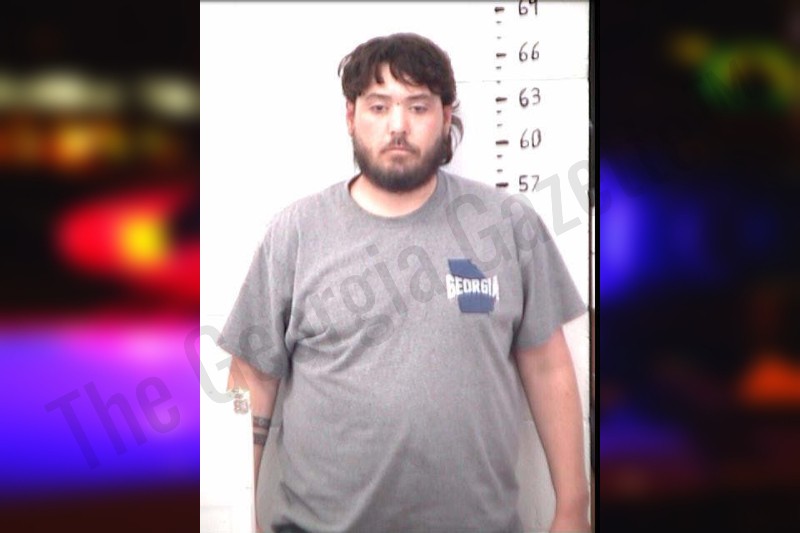 Remington Lamb — Emanuel County Jail Bookings