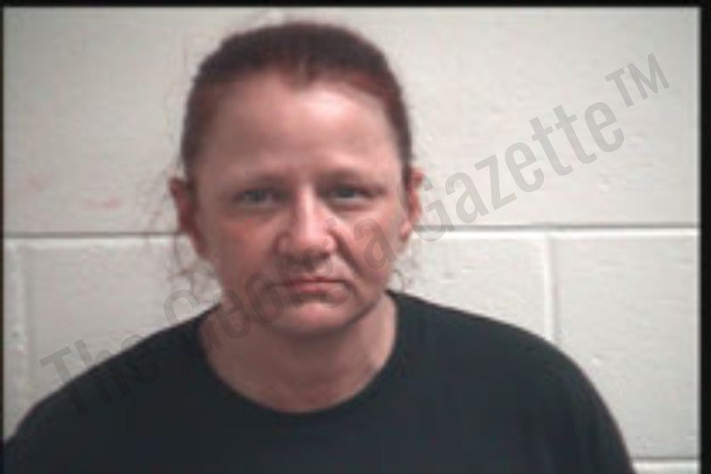 Tammy Land — Henry County Jail Bookings