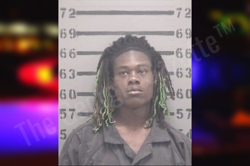 Justin Lane — Dougherty County Jail Bookings