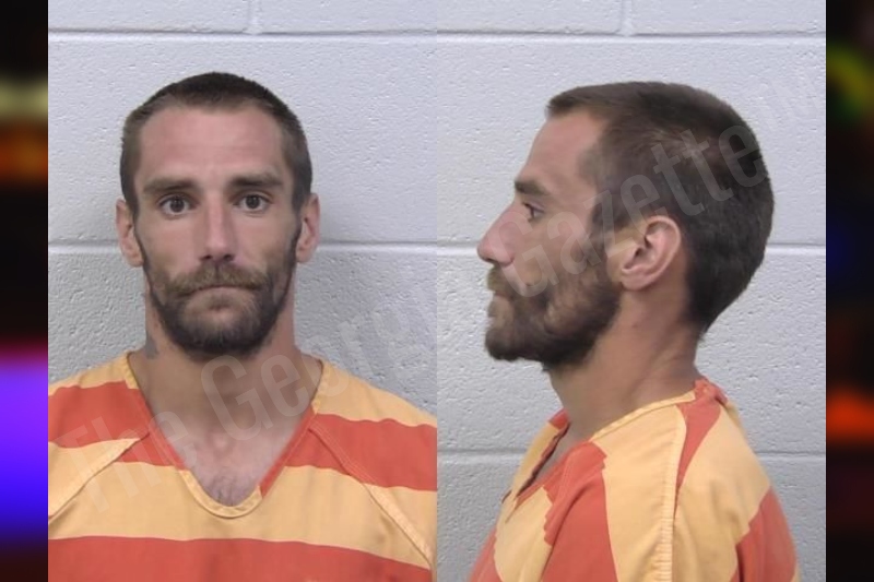 Matthew Larosee — Paulding County Jail Bookings