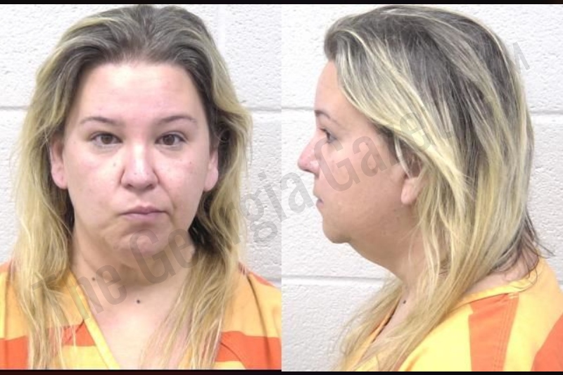 Melissa Lassiter — Paulding County Jail Bookings