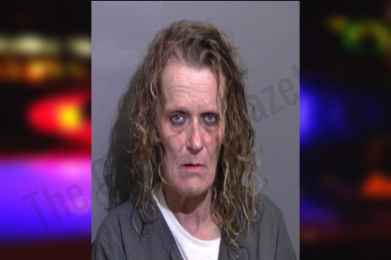 April Lavalle — Glynn County Jail Bookings