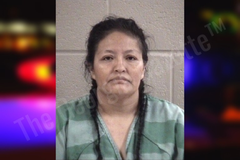 Maria Loarca-Reynoso — Whitfield County Jail Bookings