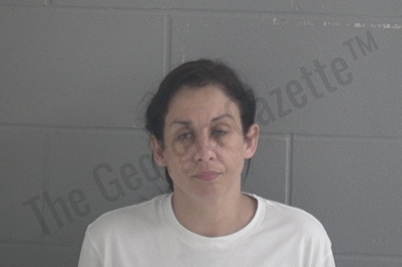 Brandi Long — Brantley County Jail Bookings