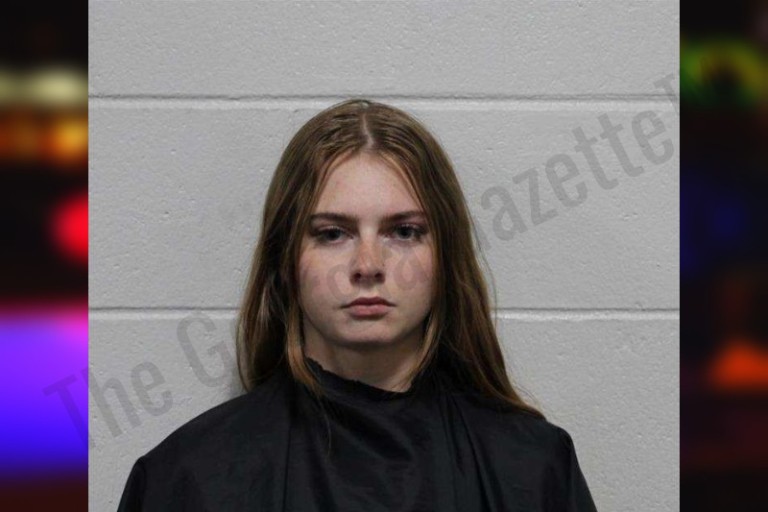 Haley McLeer — Habersham County Jail Bookings