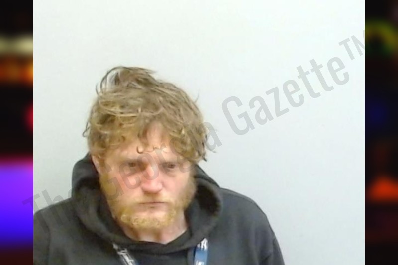 David Mell — Fulton County Jail Bookings