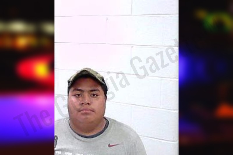 Elmer Mendez Lopez — Fulton County