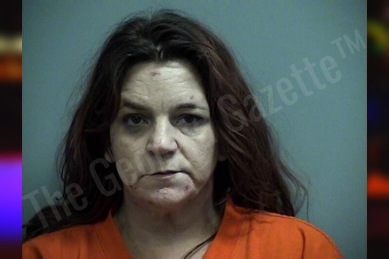 Amanda Maddox — Effingham County Jail Bookings