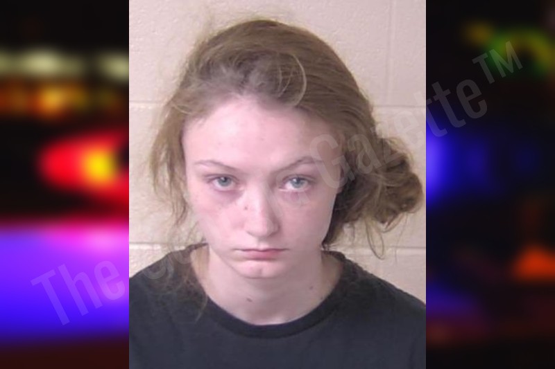 Hailey Martin — Walker County Jail Bookings