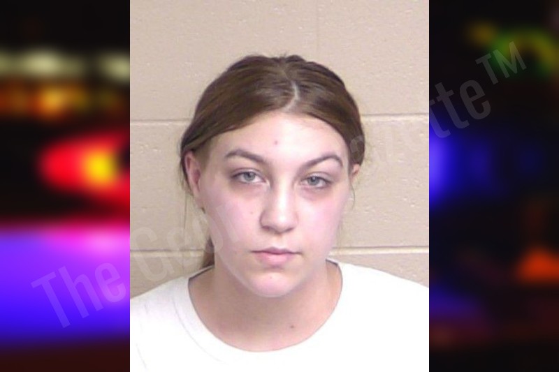 Dixie Mathis — Walker County Jail Bookings