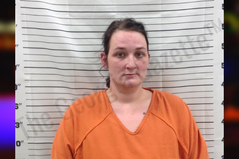 Katherine McCall-Wilson — Pickens County Jail Bookings