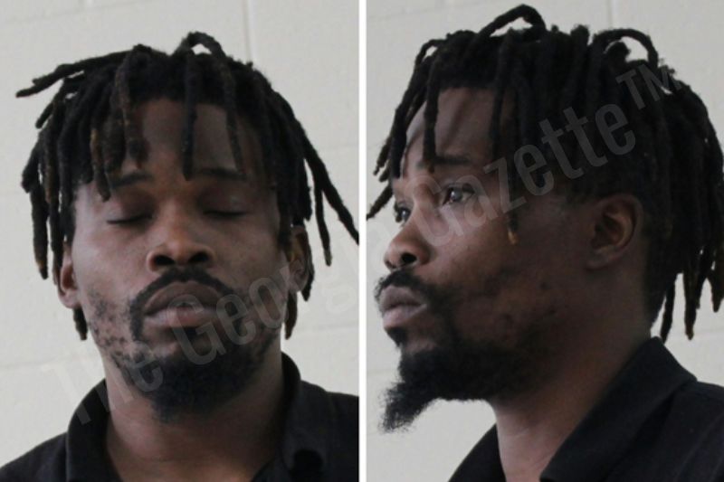 Reginald McClendon — Houston County Jail Bookings