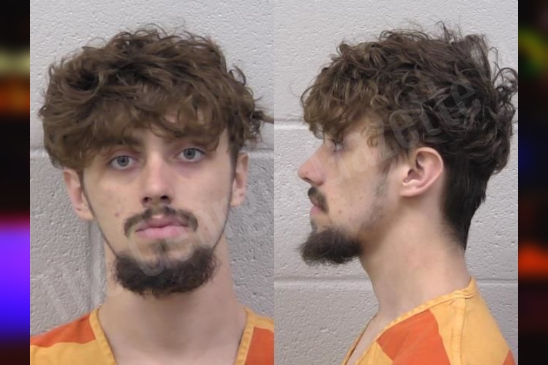 Brayden McNeil — Paulding County Jail Bookings
